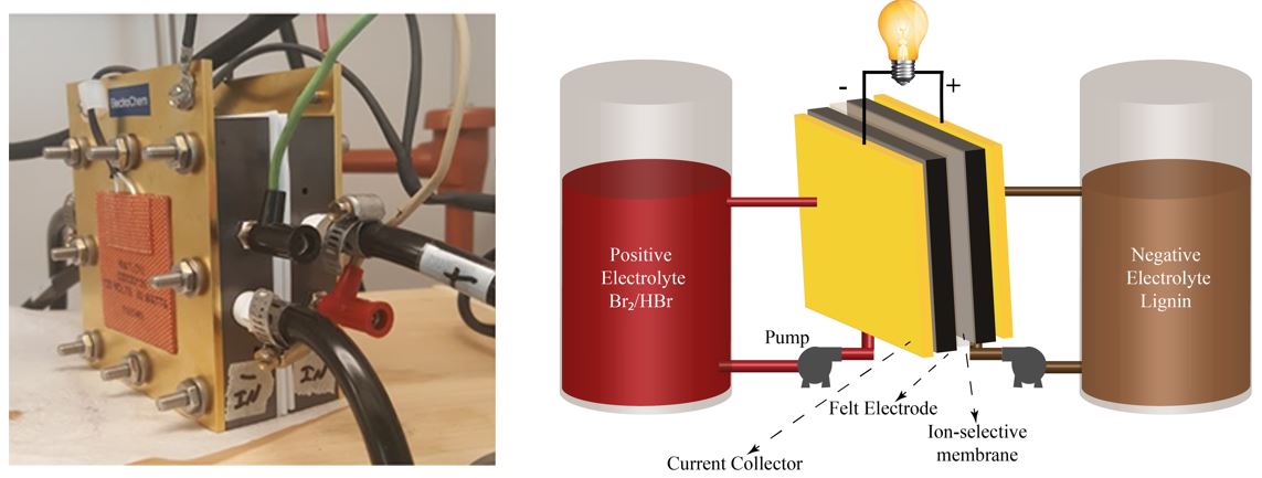 NEU ZHU LAB | PUBLICATION