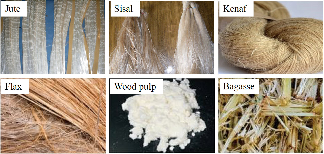 NEU ZHU LAB | PUBLICATION