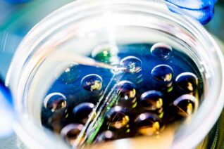 Two Northeastern Students Helping Increase IVF Success Through Co-op ...